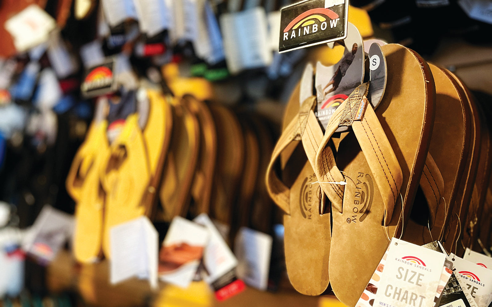 Sunny Smith Boardshop - SURF/SKATE/SNOW